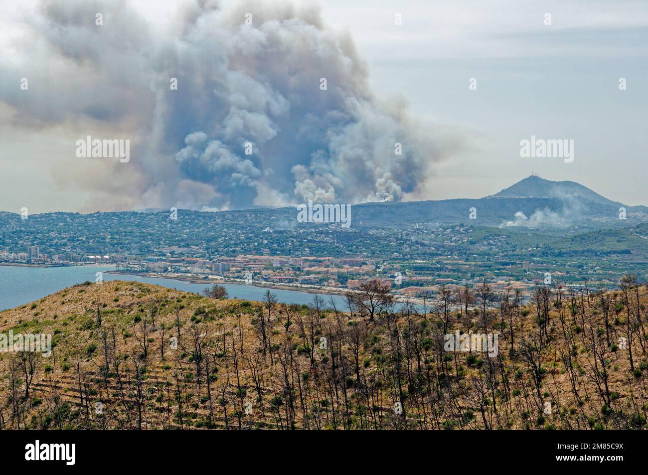 The forest fire near the sea coast in Alicante, Spain Stock Photo - Alamy