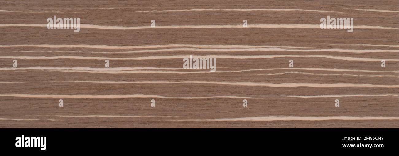 Mocca brown hi-res stock photography and images - Alamy