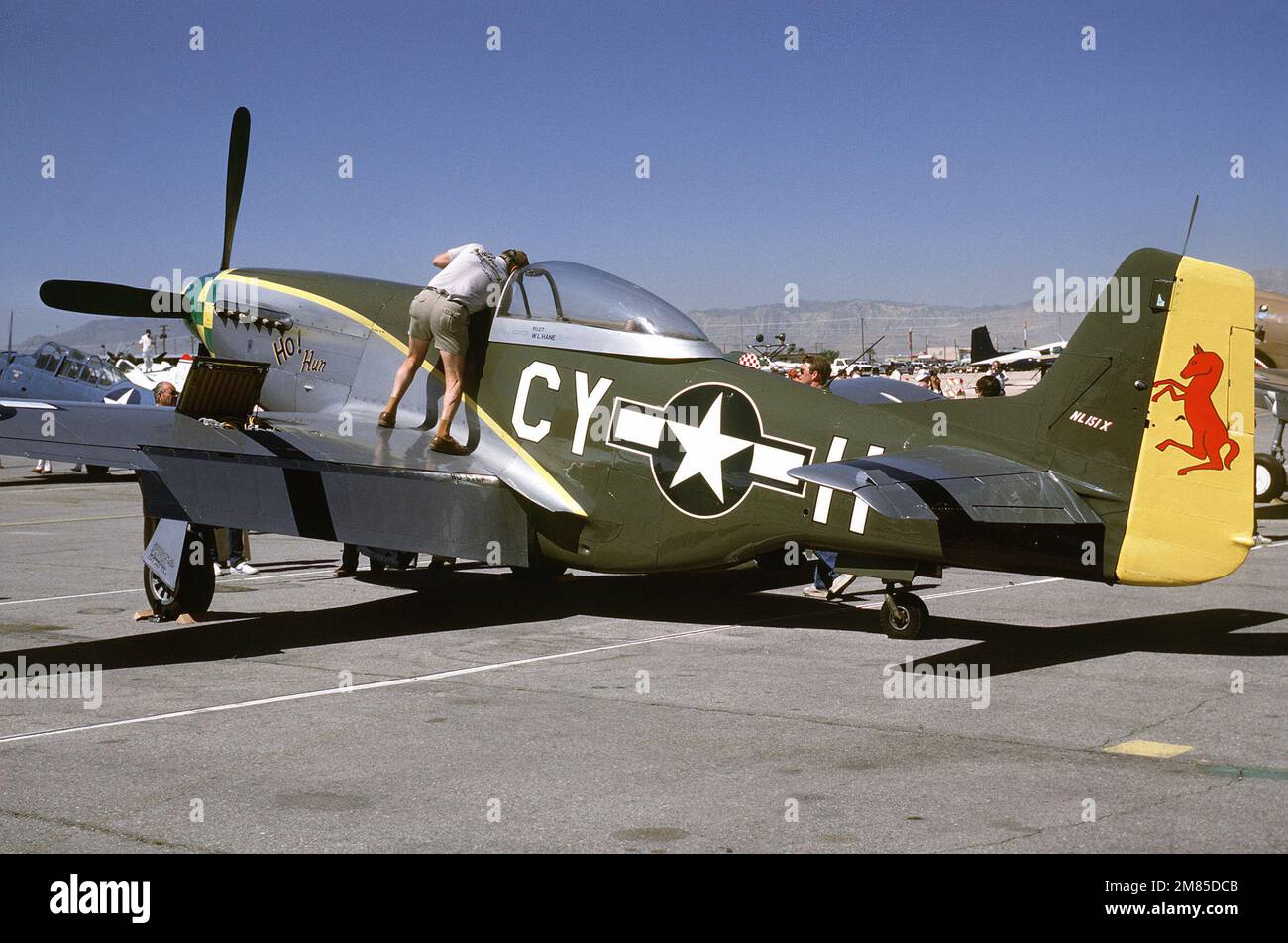 Left side view of a North American built P-51 "Mustang" pursuit ...