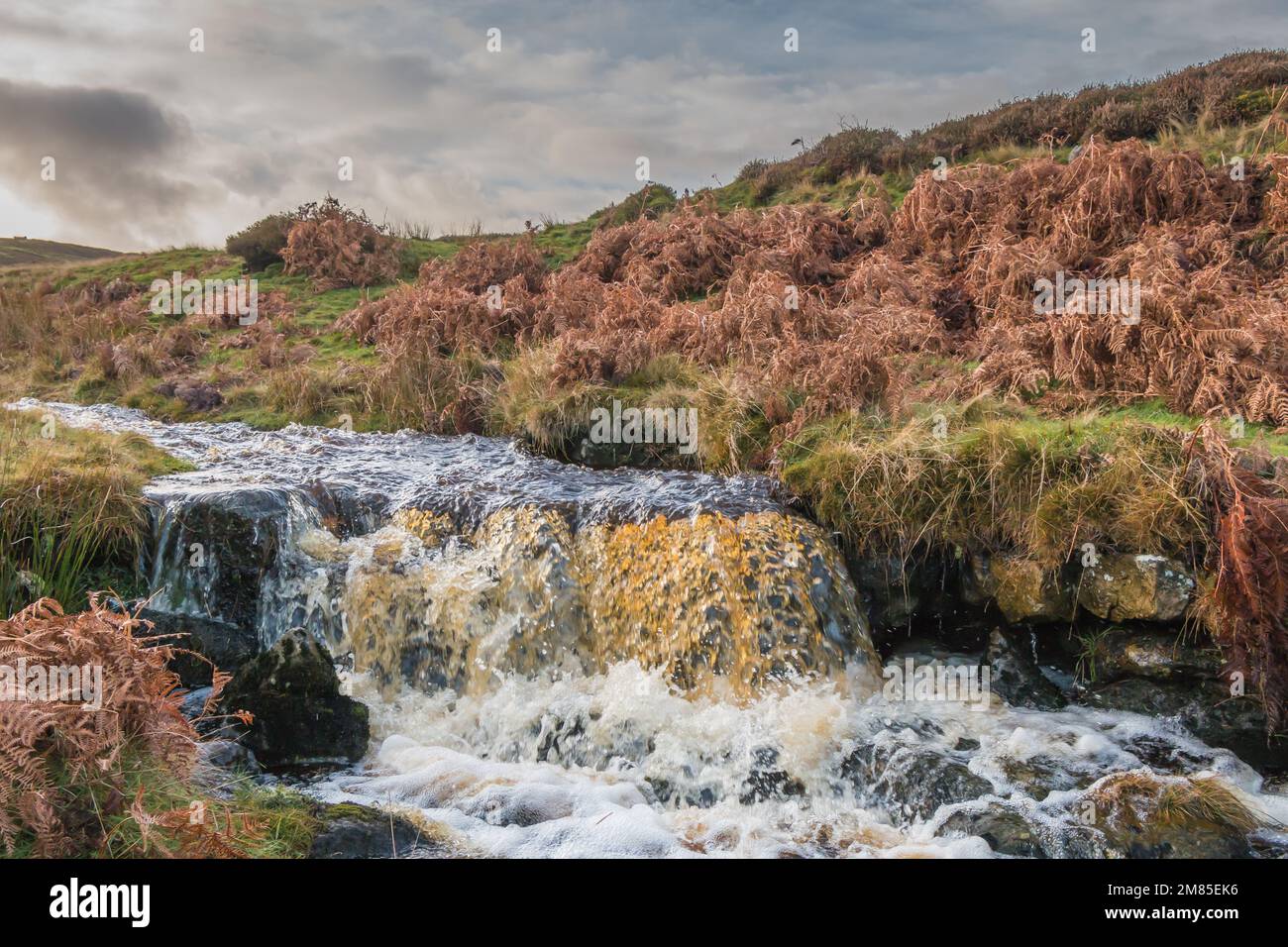 An attractive cascade on a small beck flowing off Barningham Moor Stock ...