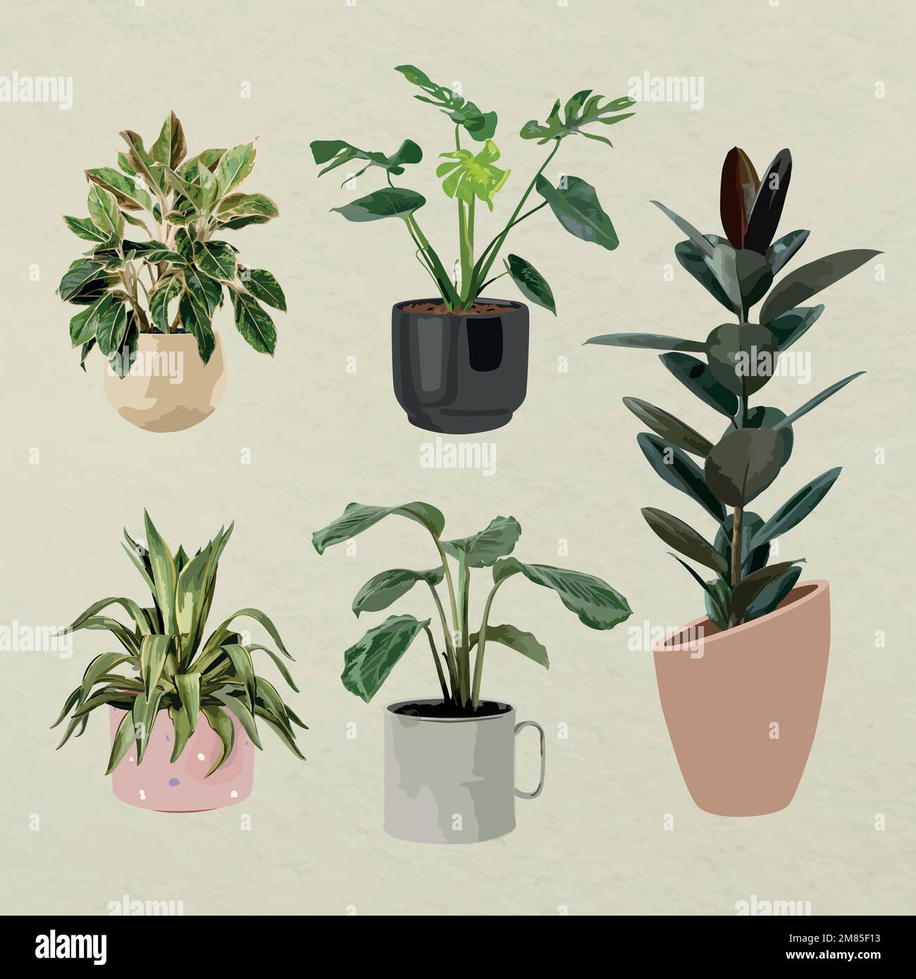 Plant vector art, Houseplant set in flower pots Stock Vector Image ...