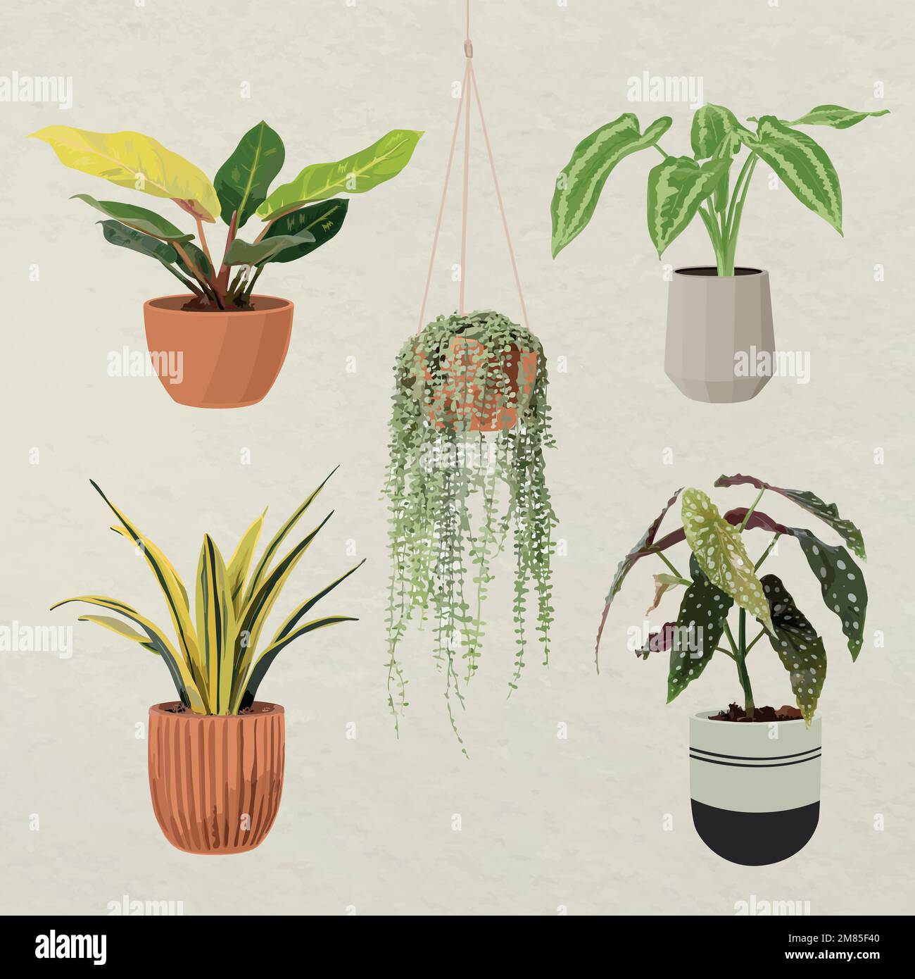 Plant vector art set, houseplant in a flower pot Stock Vector Image ...