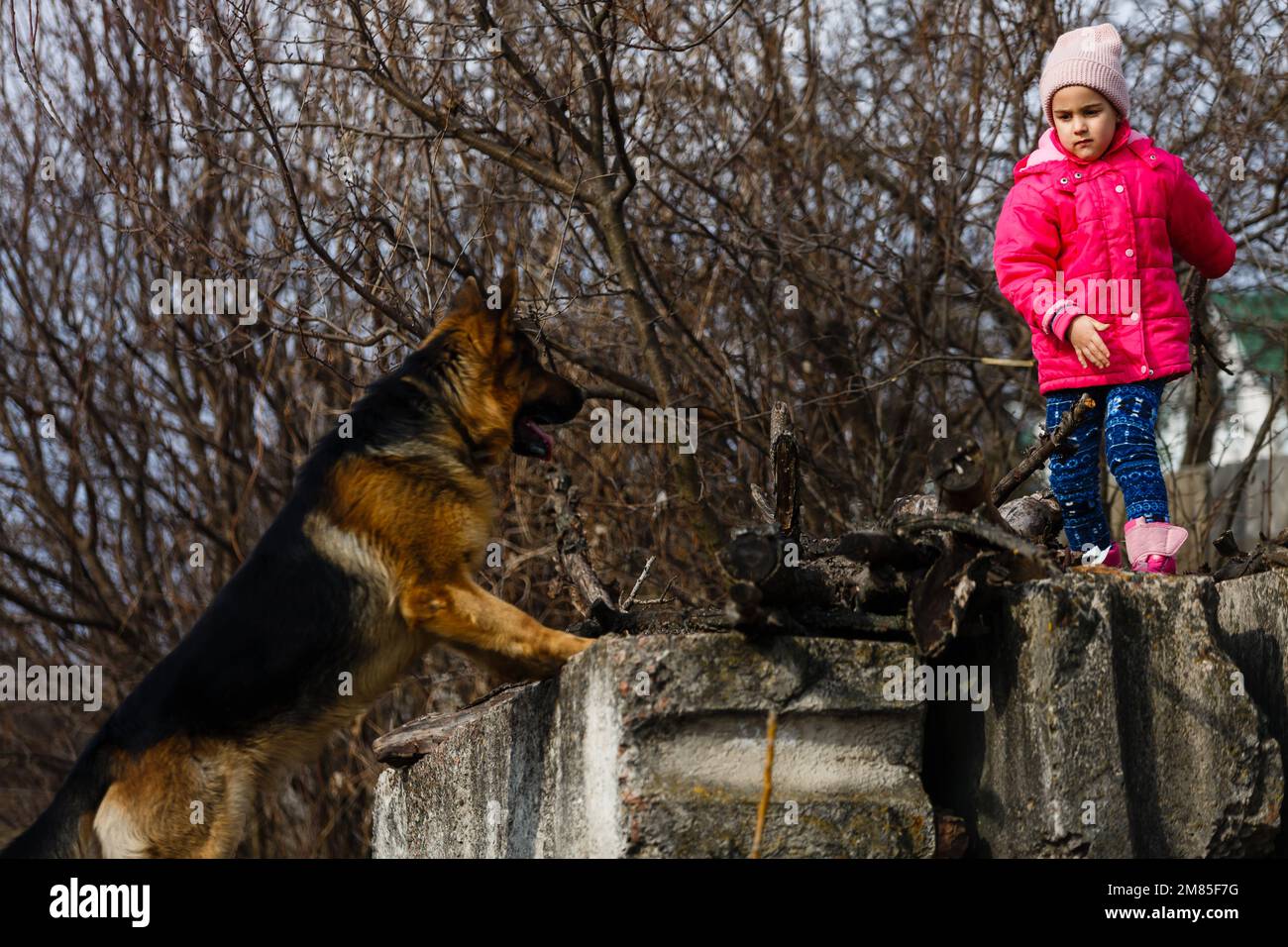 Girl fear dog hi-res stock photography and images - Alamy