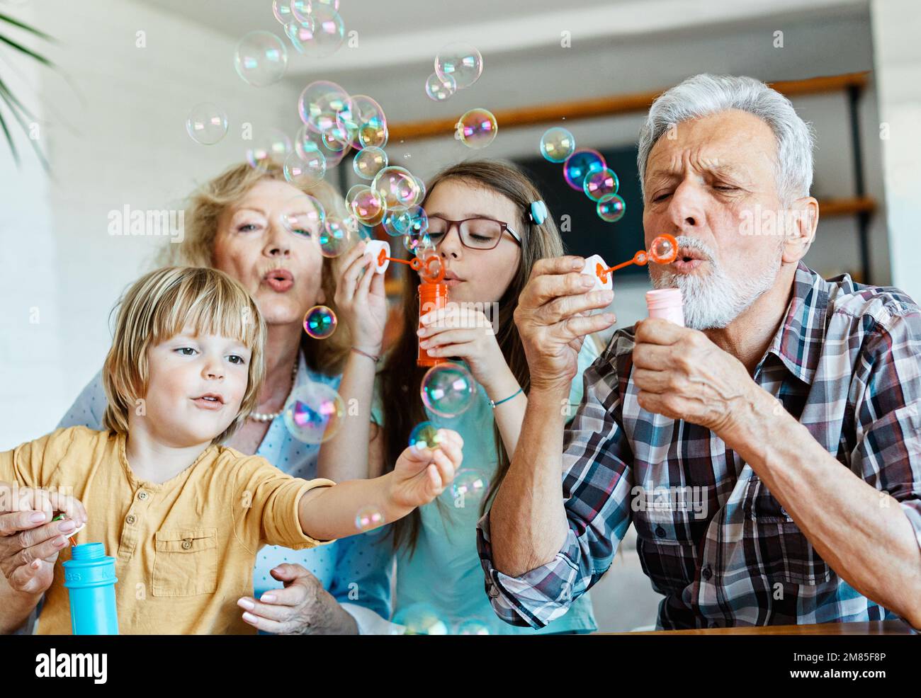 grandchild family child grandparent man woman grandfather happy ...