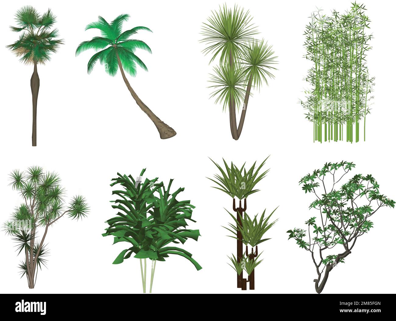 Collection of tree,trees isolated on white background Stock Vector ...