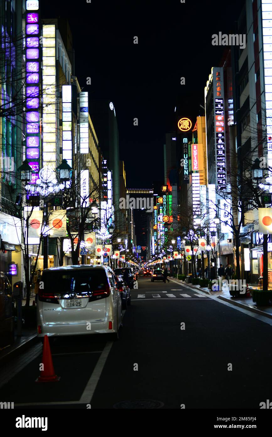 A vertical shot of illuminated buildings on a road at night in Ginza ...