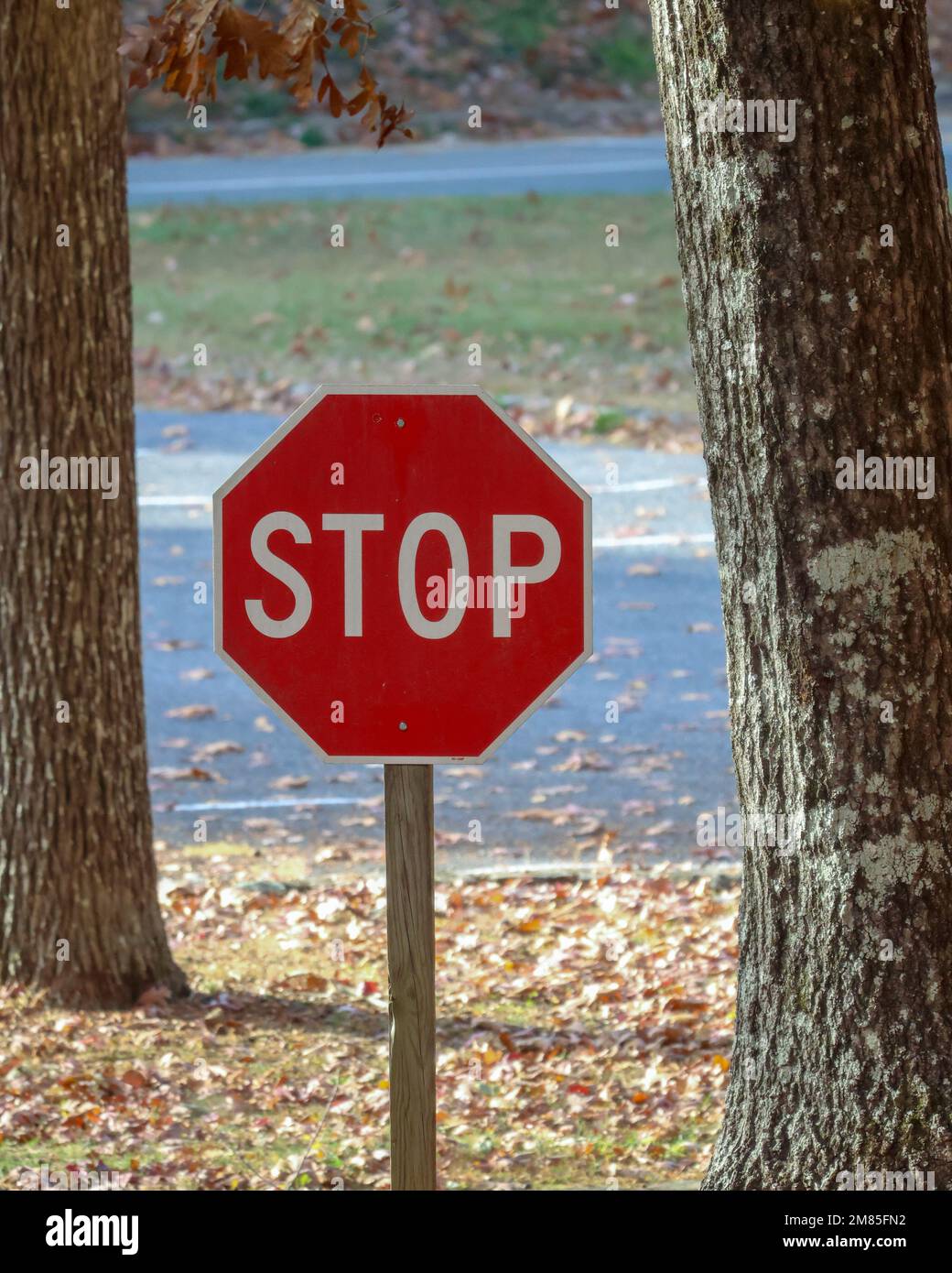 A vertical closeup of a red stop sign on the streets in autumn Stock ...