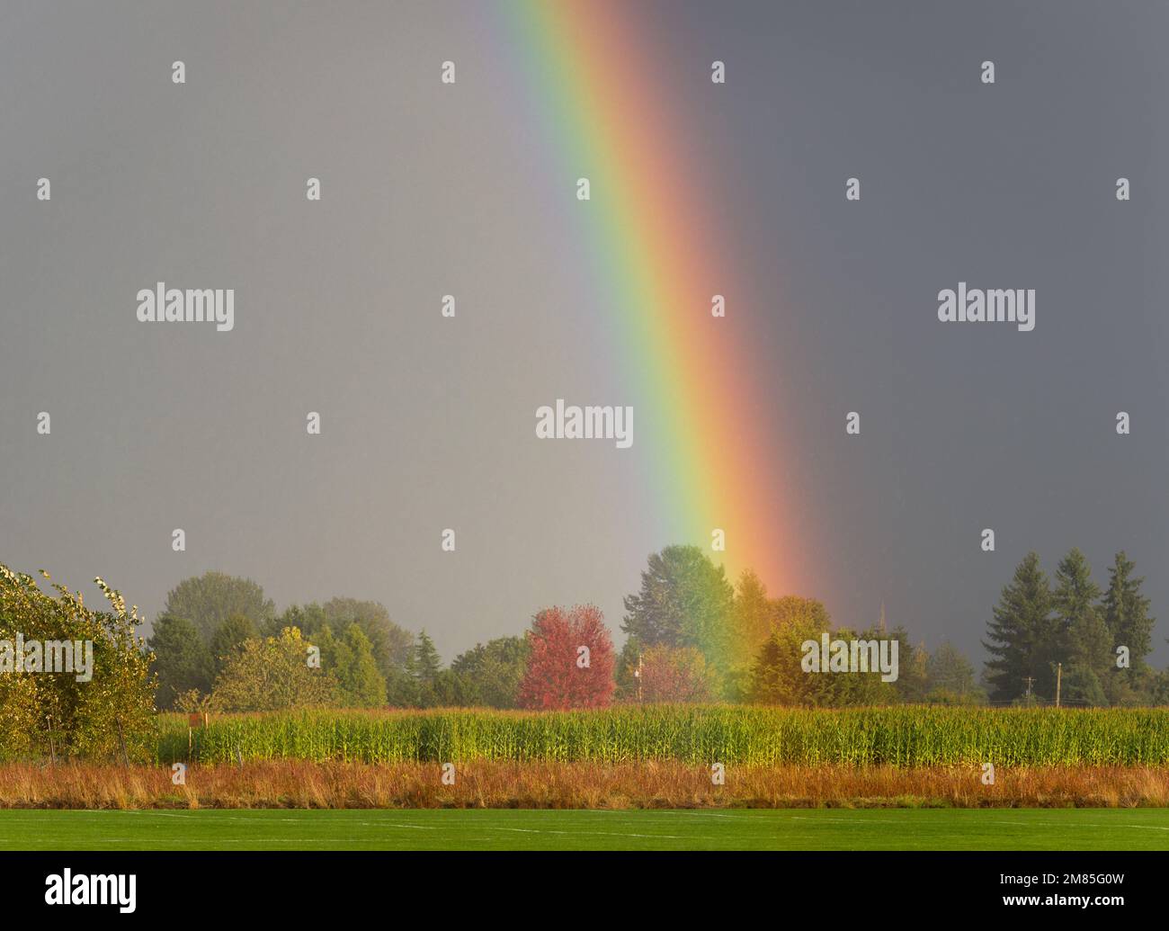 Rainbow over a cornfield hi-res stock photography and images - Alamy