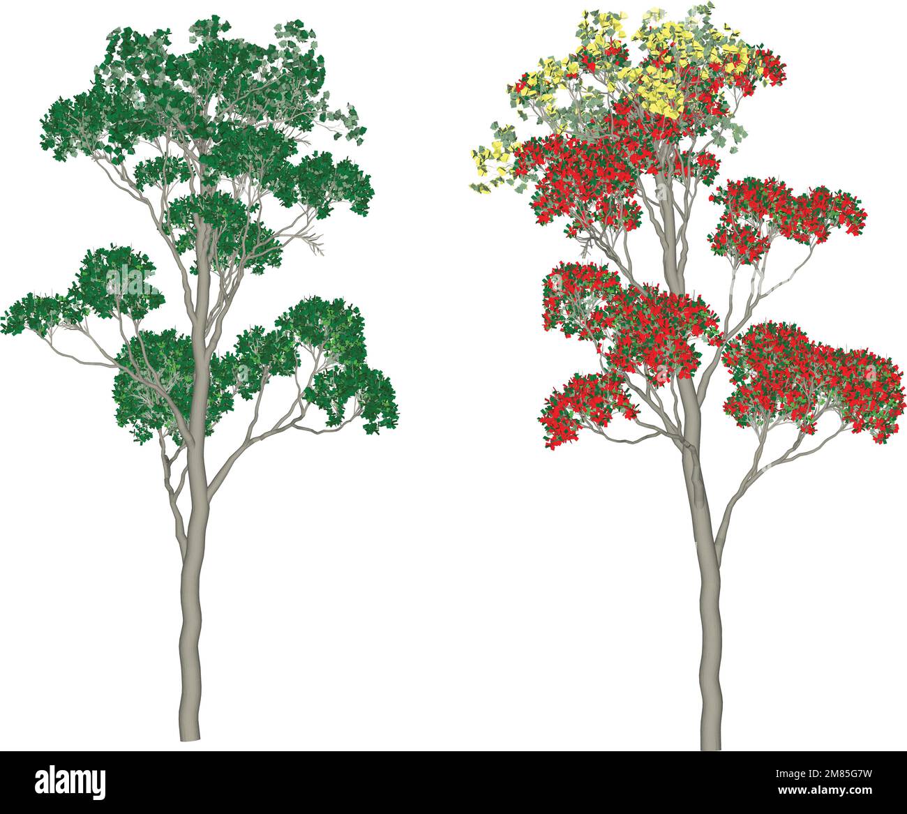 Collection of tree,trees isolated on white background Stock Vector ...