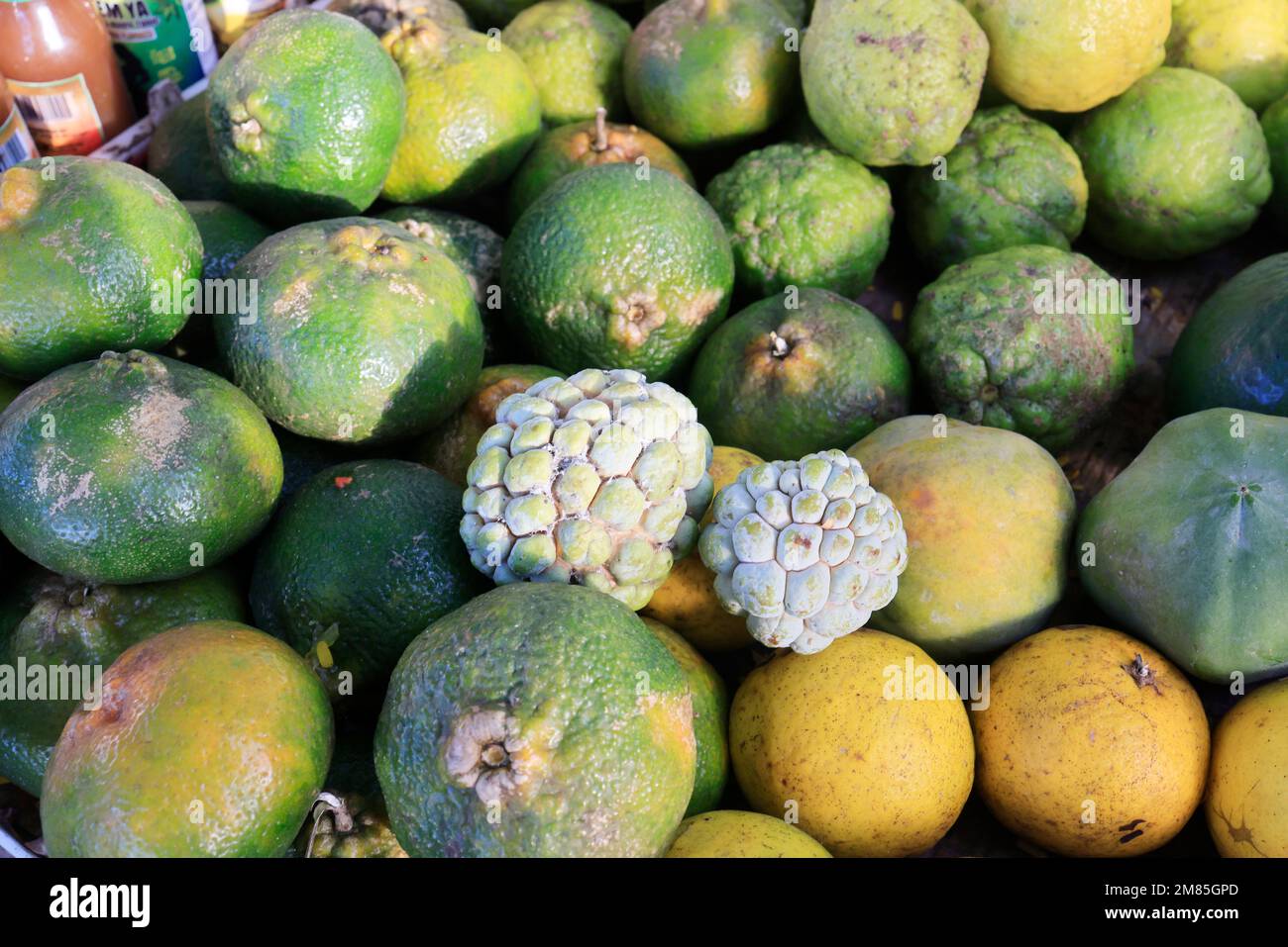 Negril in Jamaica, Caribbean, Middle America Stock Photo - Alamy