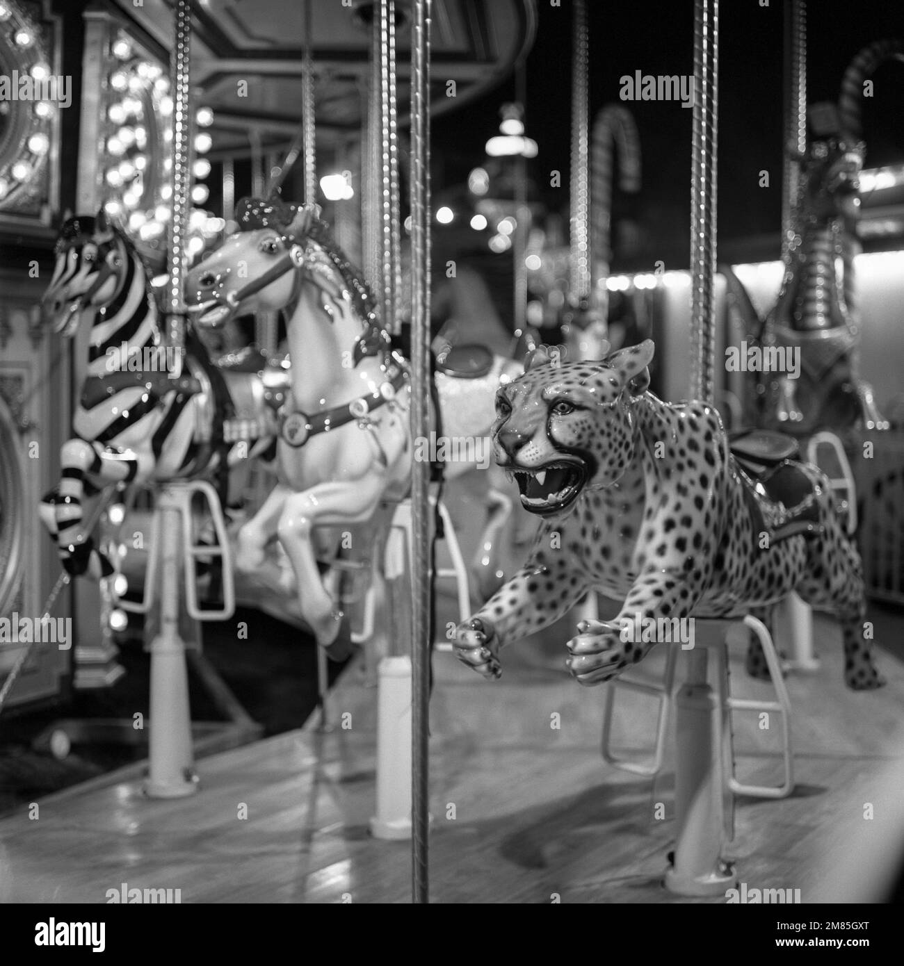 Carousel animals hi-res stock photography and images - Alamy