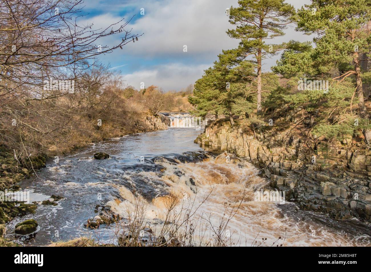 Strong late winter sun on Low Force Waterfall as seen from close to ...
