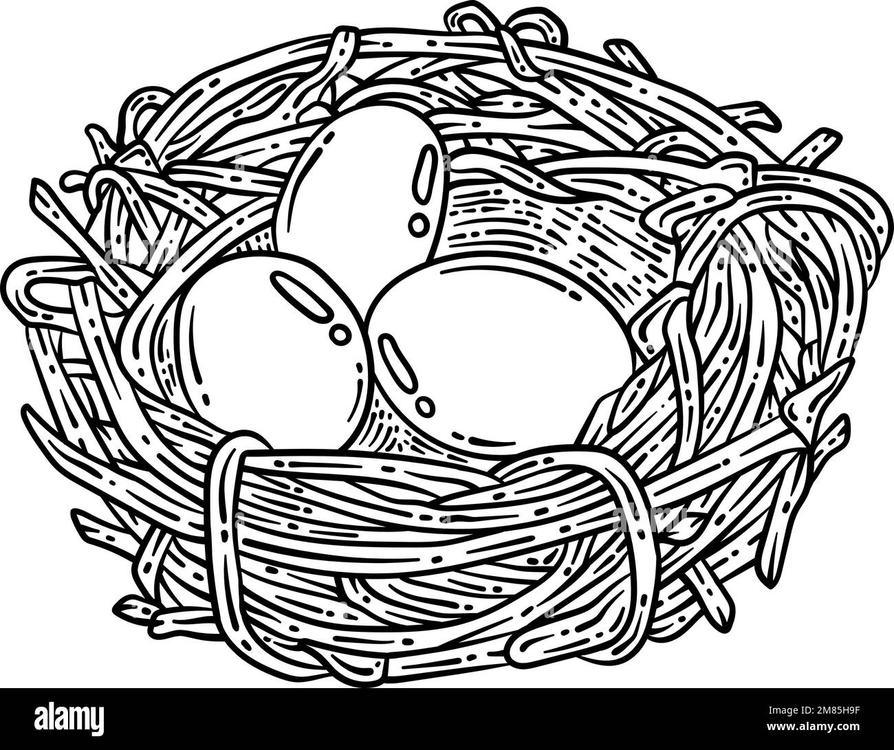 Nest With Eggs Spring Coloring Page for Adults Stock Vector Image & Art - Alamy