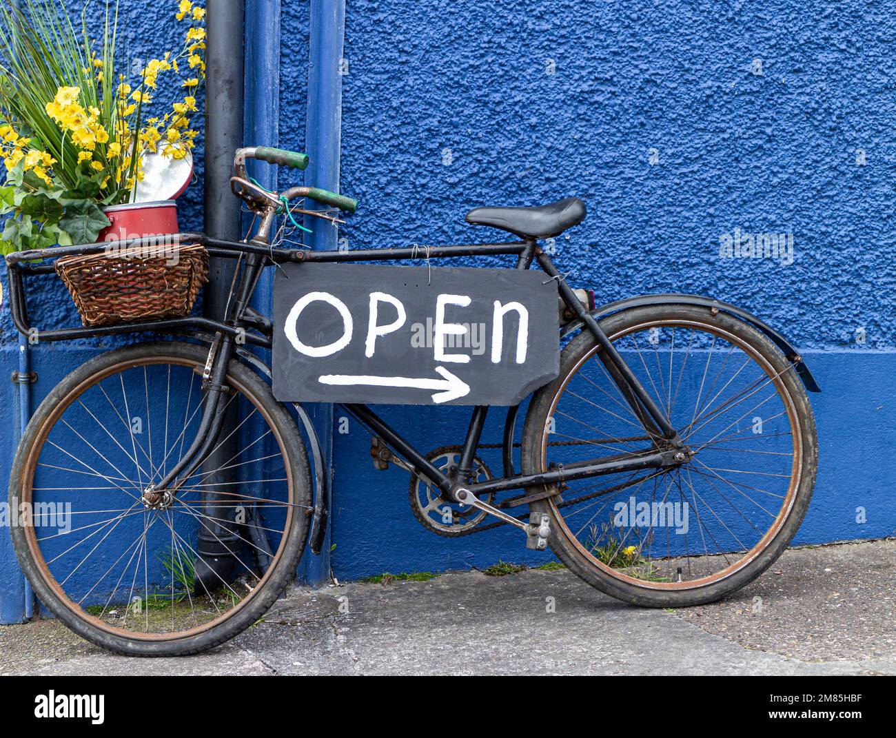 open sign, opening and direction sign on an old black bicycle decorated ...