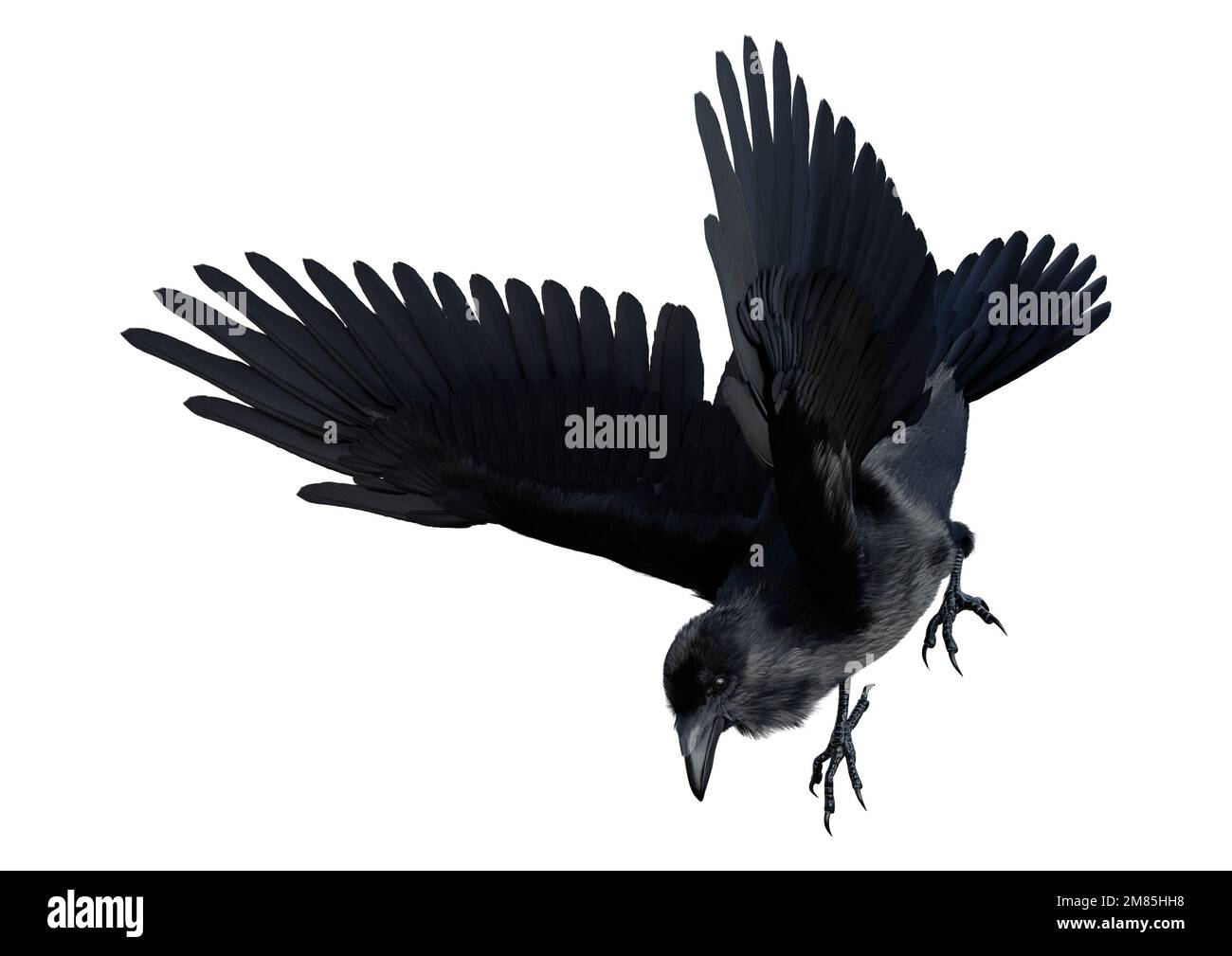 3D rendering of a black crow isolated on white background Stock Photo ...