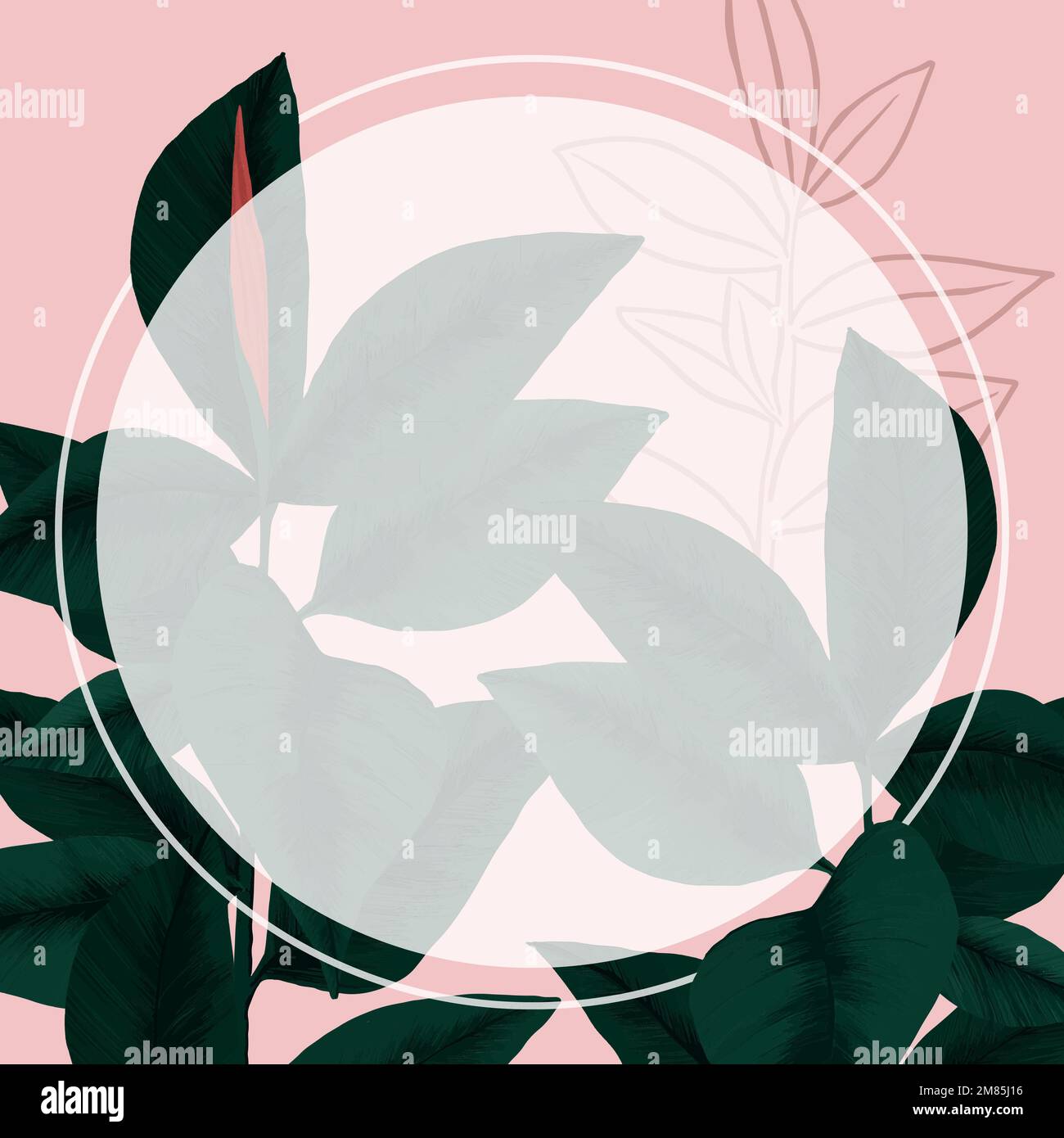 Frame vector rubber plant tropical leaf botanical illustration Stock ...