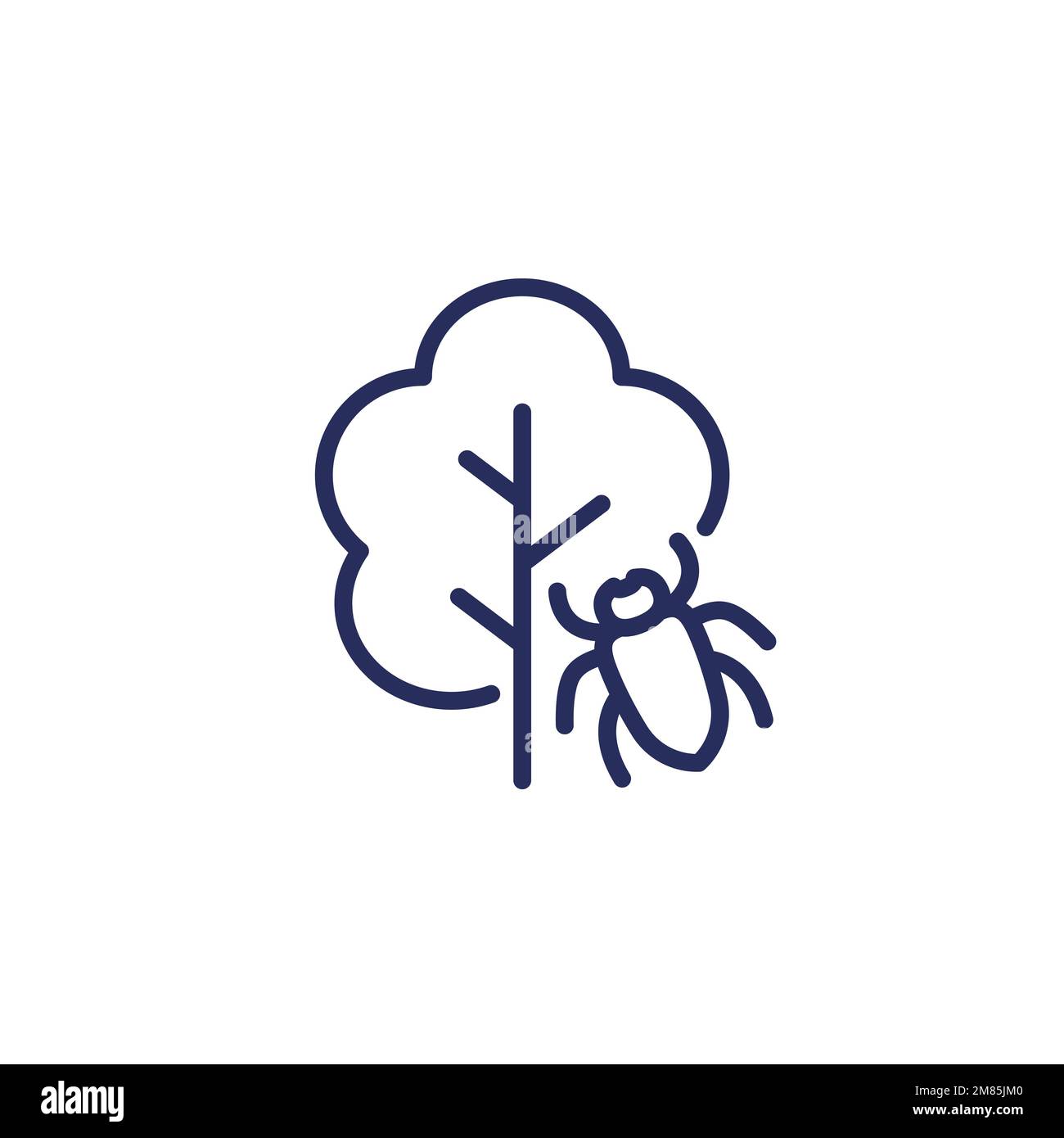 tree beetle icon, line vector Stock Vector Image & Art - Alamy