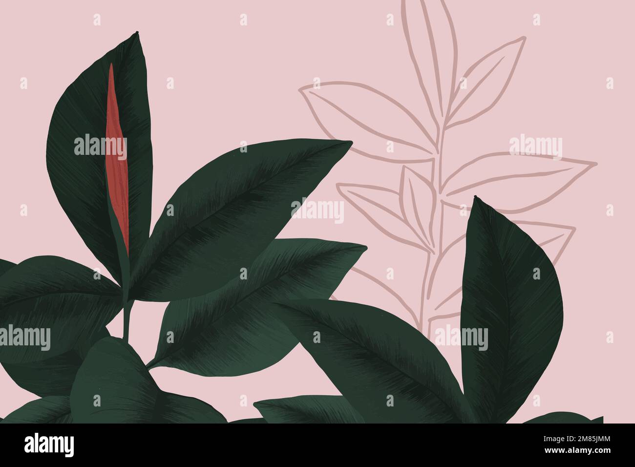 Tropical background vector rubber plant illustration Stock Vector Image ...