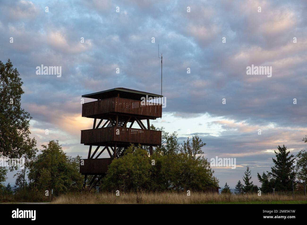 A three-story observation tower surrounded by trees in a field Stock ...