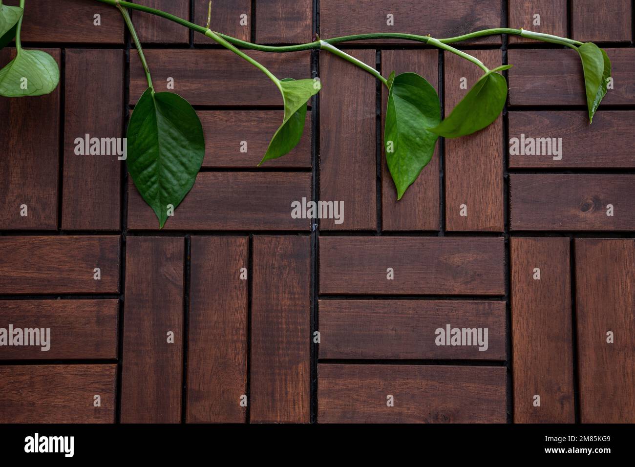 Exterior outdoor wooden decking or flooring with greenery plant ...