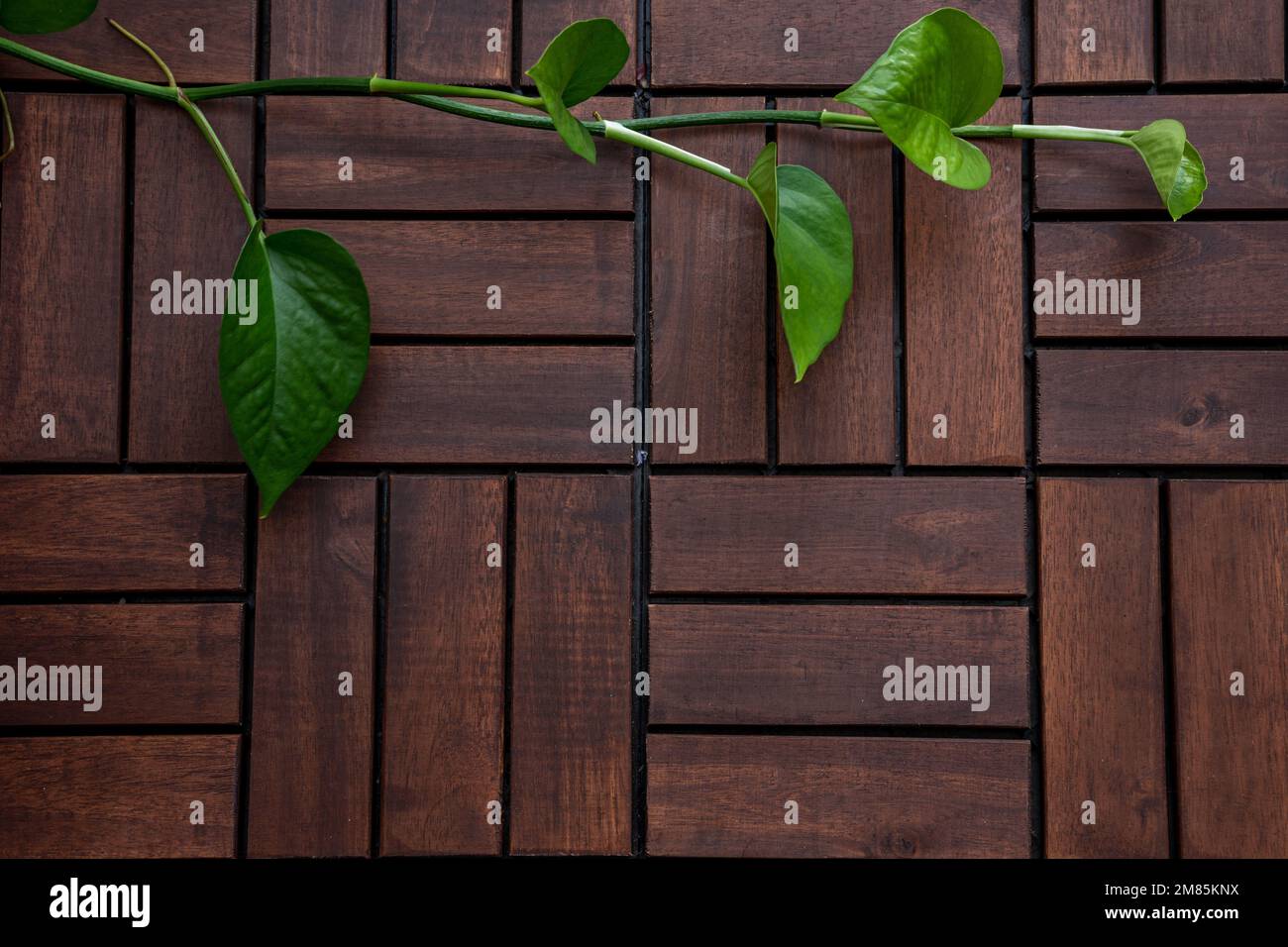 Exterior outdoor wooden decking or flooring with greenery plant ...