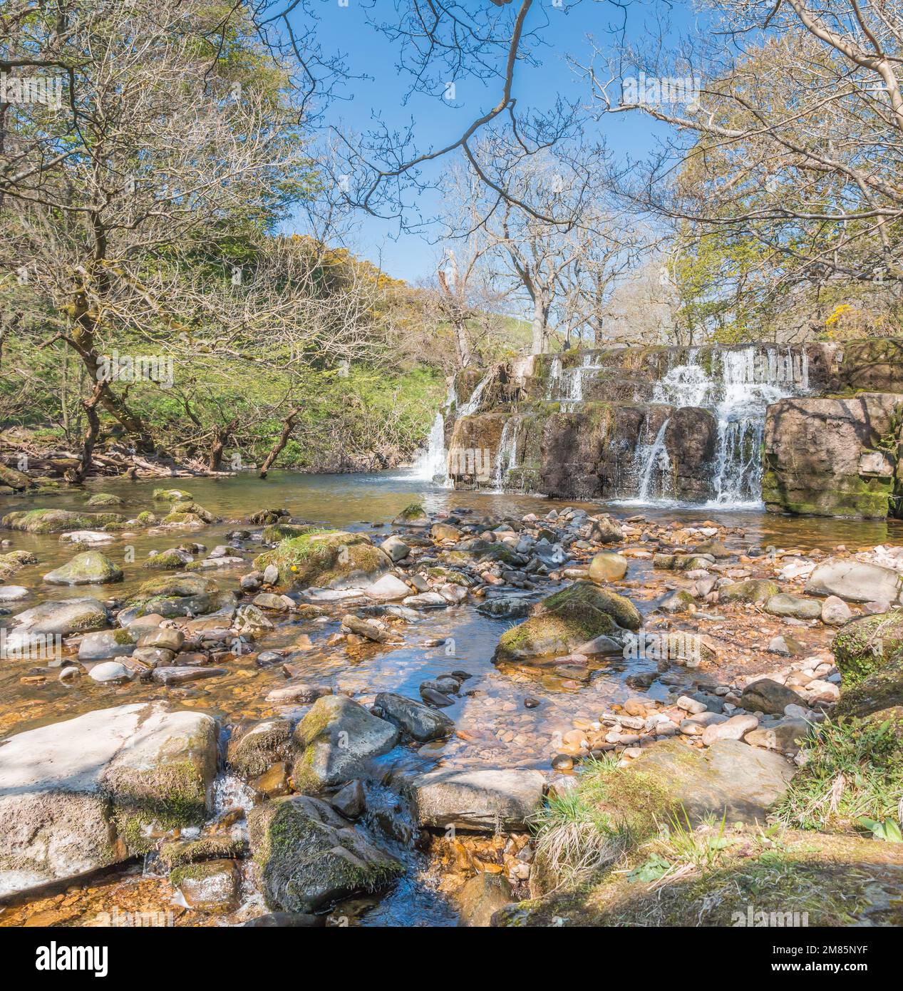 Orgate force waterfall hi-res stock photography and images - Alamy