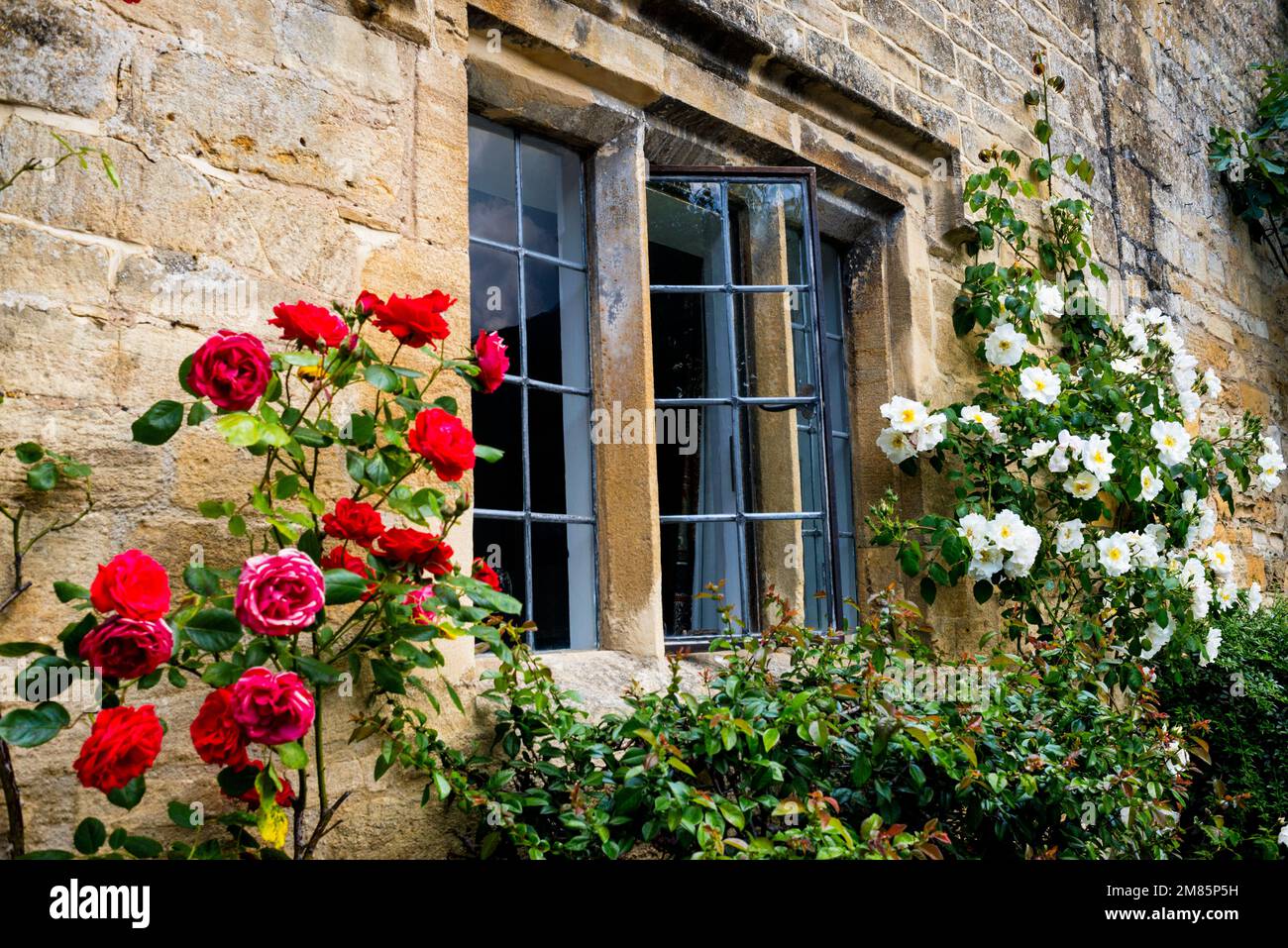 English storybook style hi-res stock photography and images - Alamy