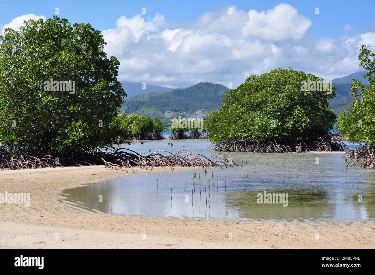 Calm sunny day in El Nido, Palawan, Philippines Stock Photo - Alamy