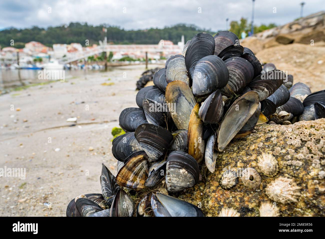 Praia de rodeira hi-res stock photography and images - Alamy