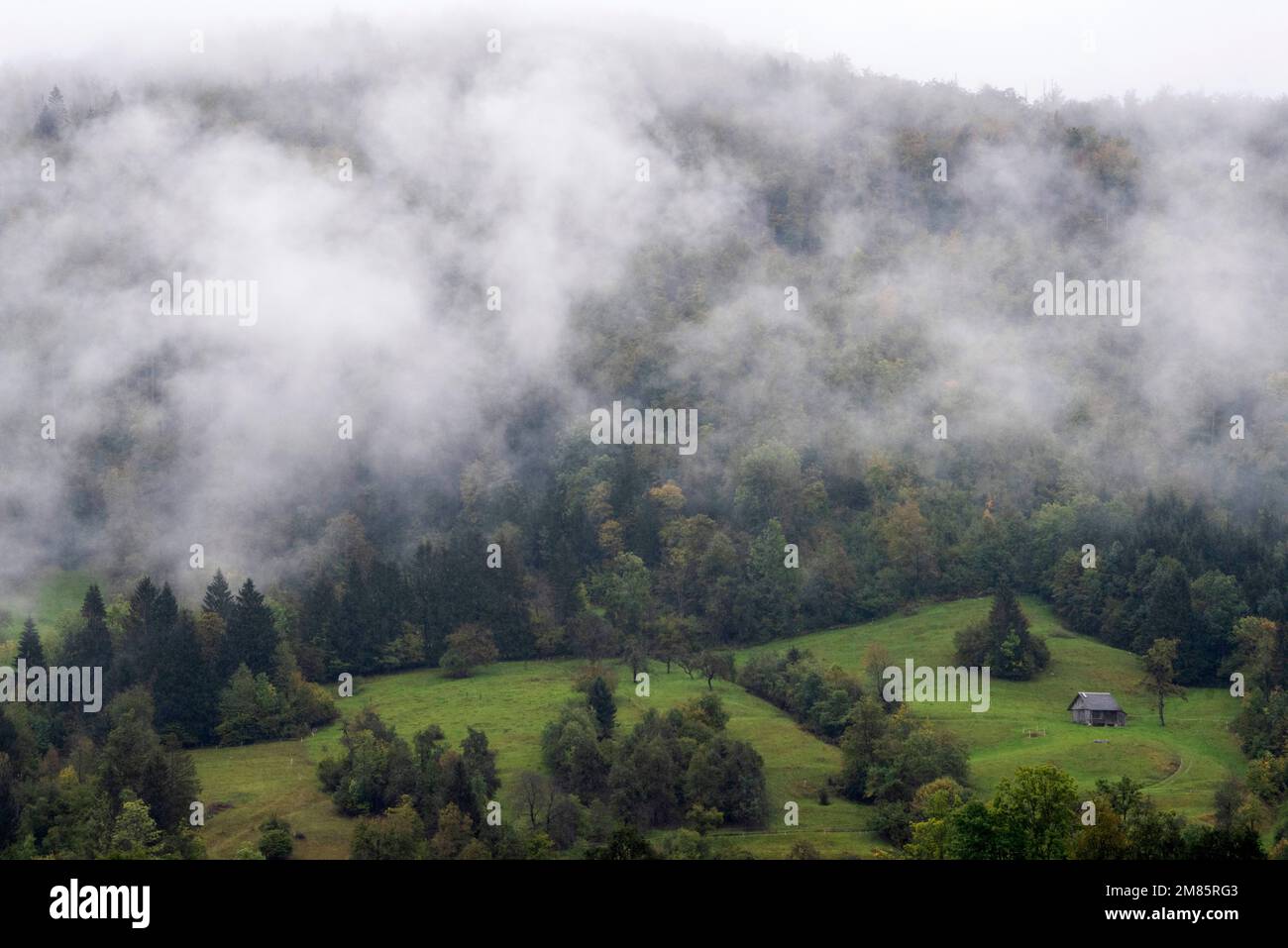 Wet misty day in the Bohinj Region of Slovenia, Europe EU Stock Photo ...