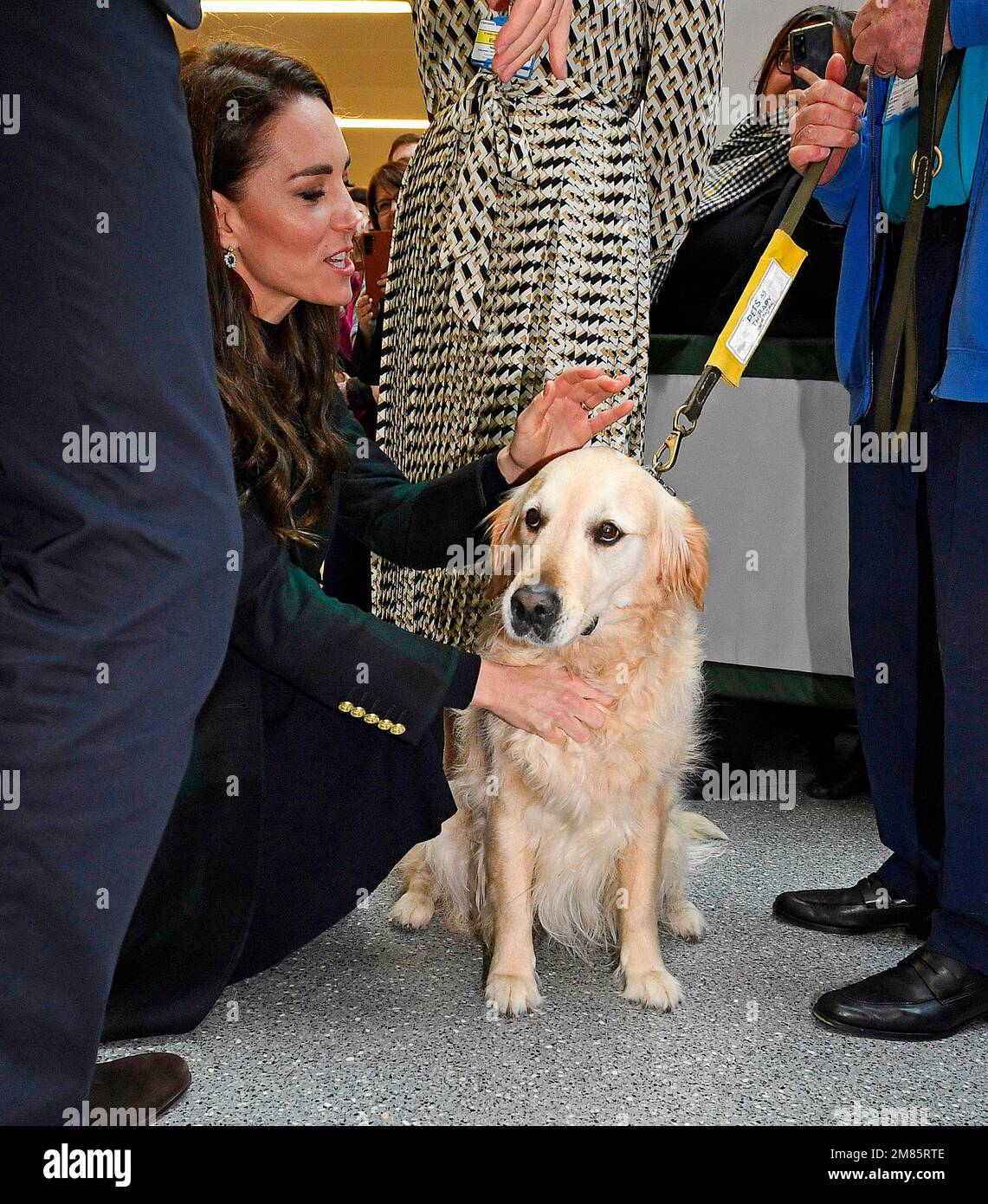 The Princess of Wales meet golden retriever Therapy Dog Rosie and ...