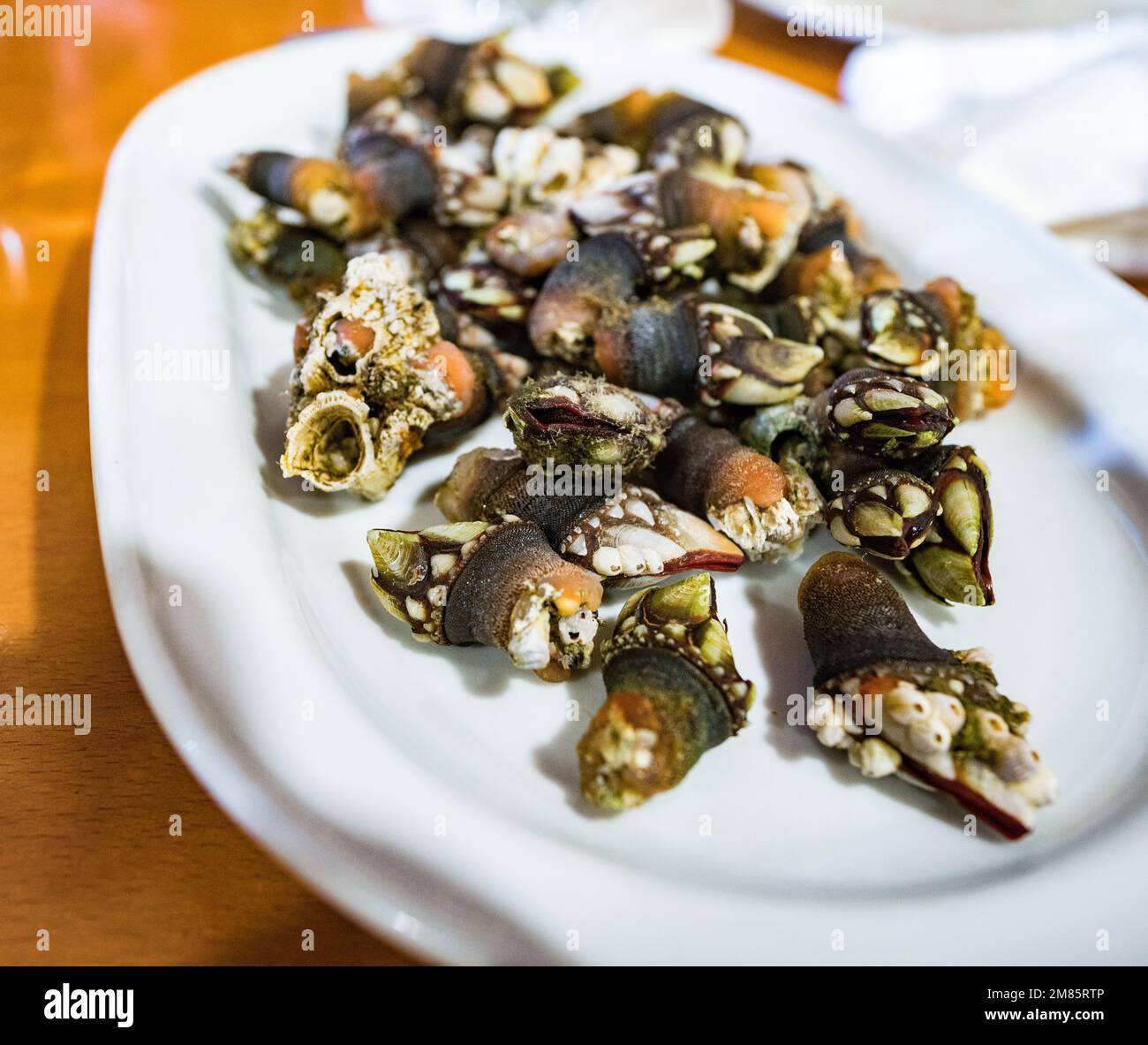 Percebes spain hi-res stock photography and images - Alamy