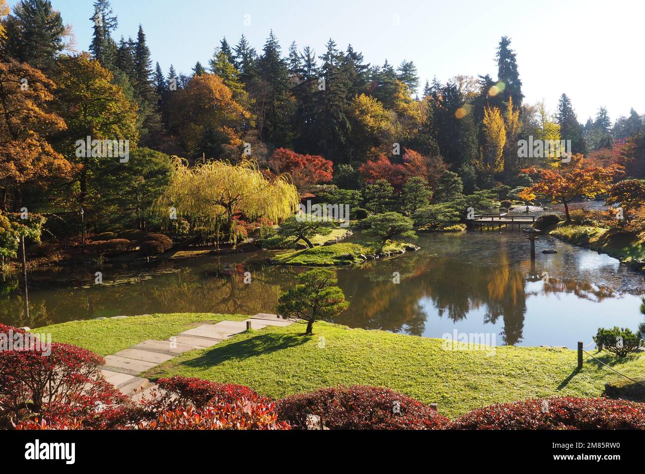 Fall colors reflected on the koi pond at the Seattle Japanese Garden in ...