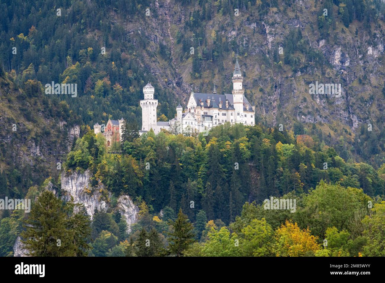 Neuschwanstein Castle near Fussen in Bavaria Germany, Europe EU Stock ...