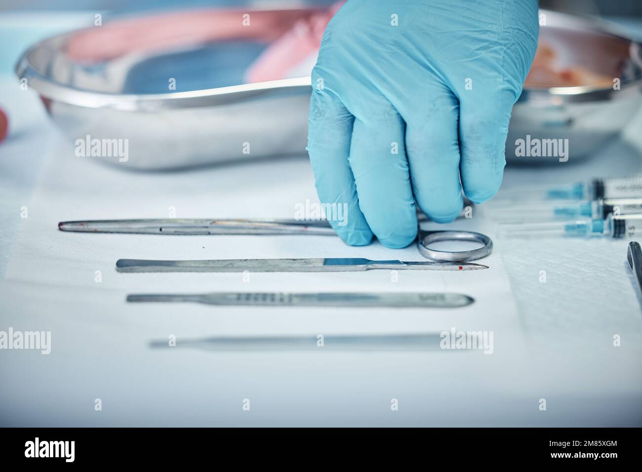 Surgery, tools and doctor hand with health, glove for safety and ...