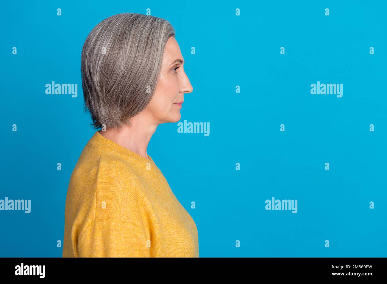 Profile photo portrait of stunning grandma look empty space banner ...