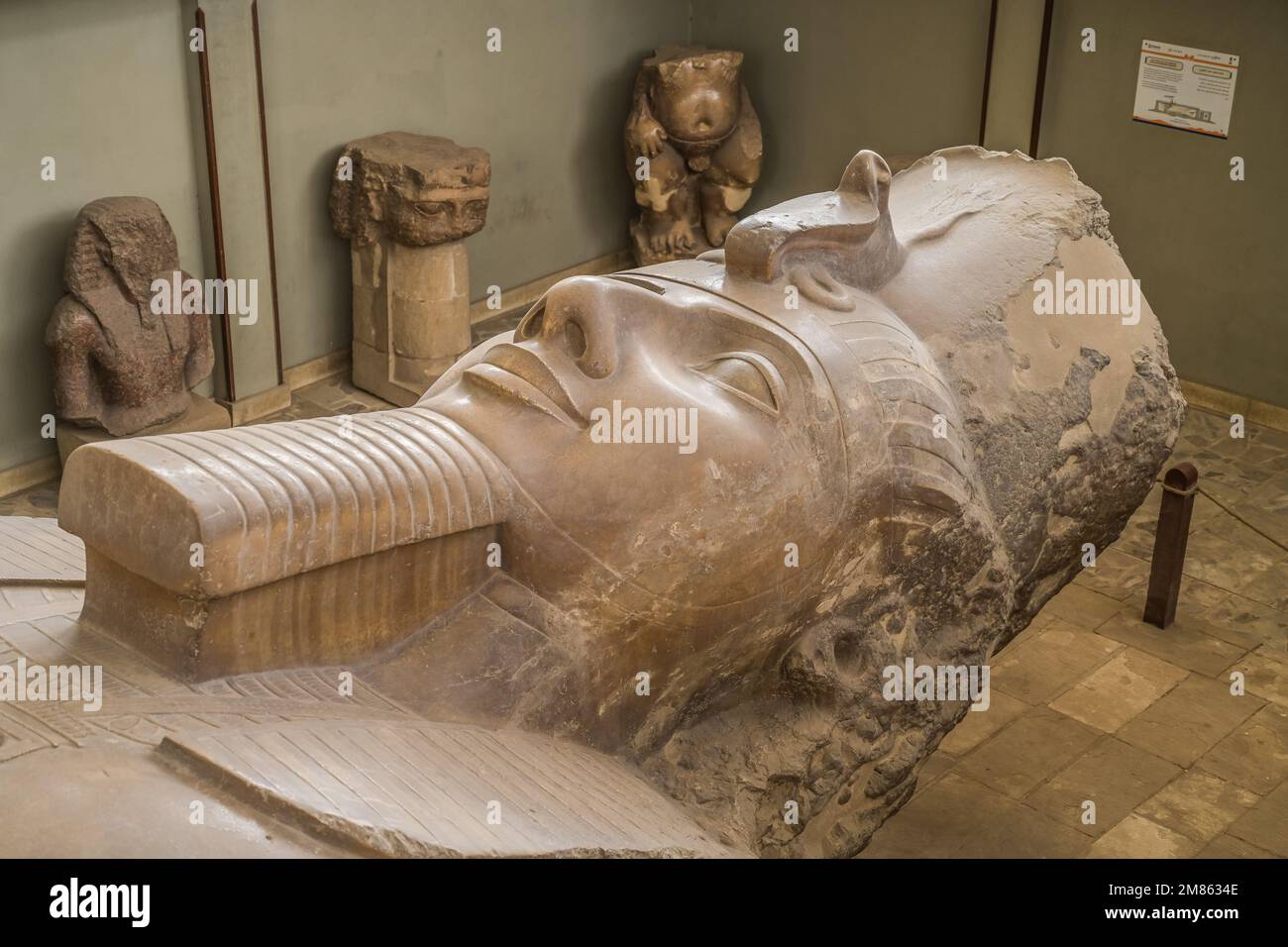 Liegende Kolossalstatue Ramses II, Museum, Mit Rathina, Memphis ...