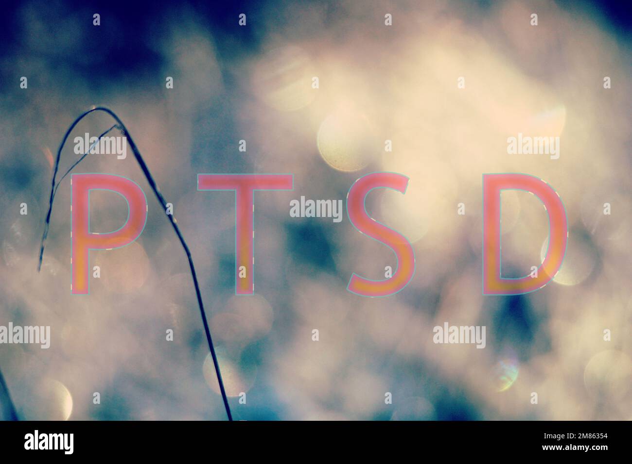 text ptsd on a sunset blurry background image Stock Photo - Alamy