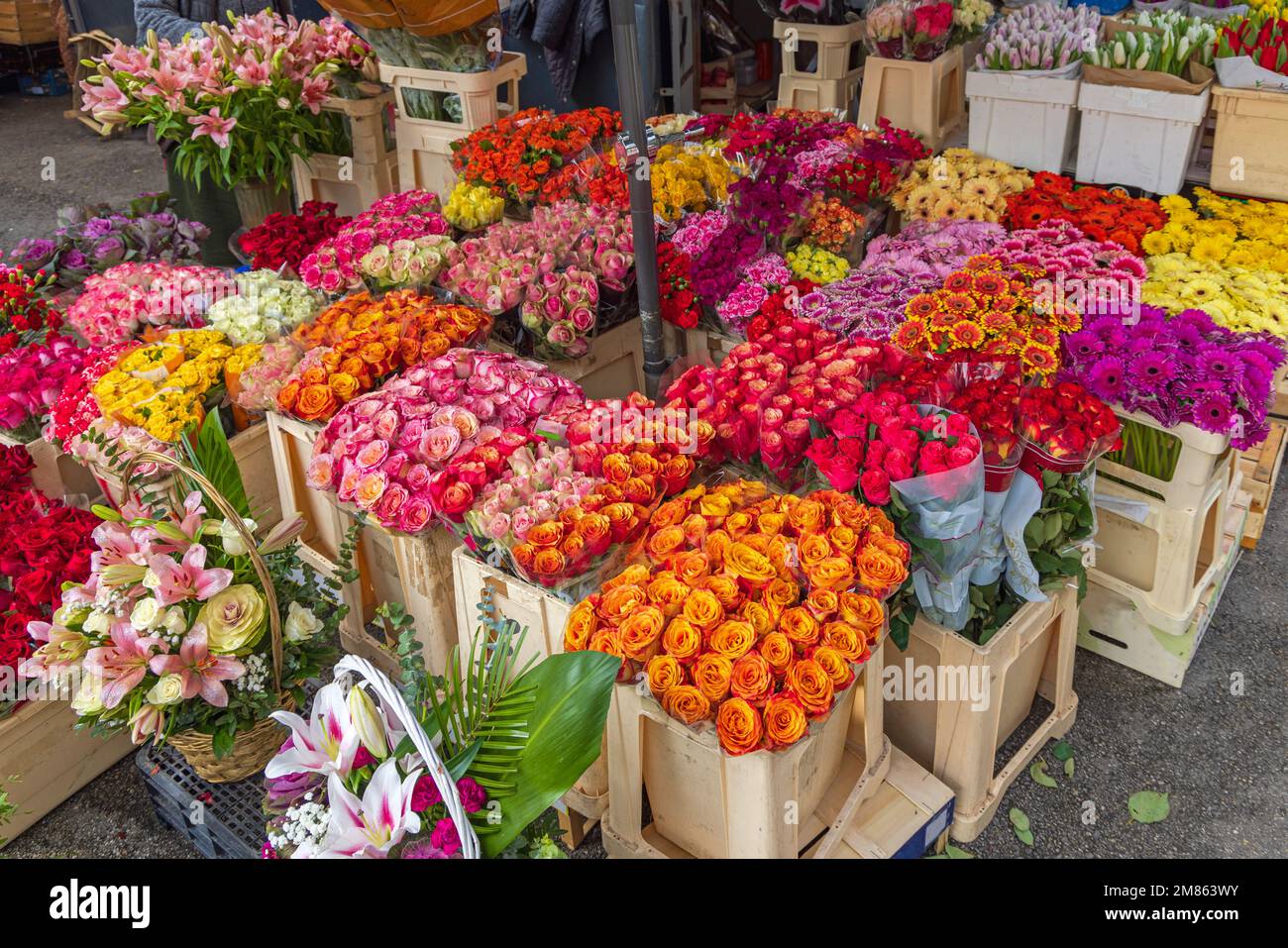 Bright Vivid Colours Fresh Flowers in Buckets Florist Market Stall ...