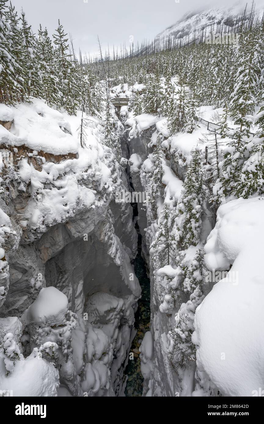 Snow covered Marble Canyon in Kootenay National Park, British Columbia ...