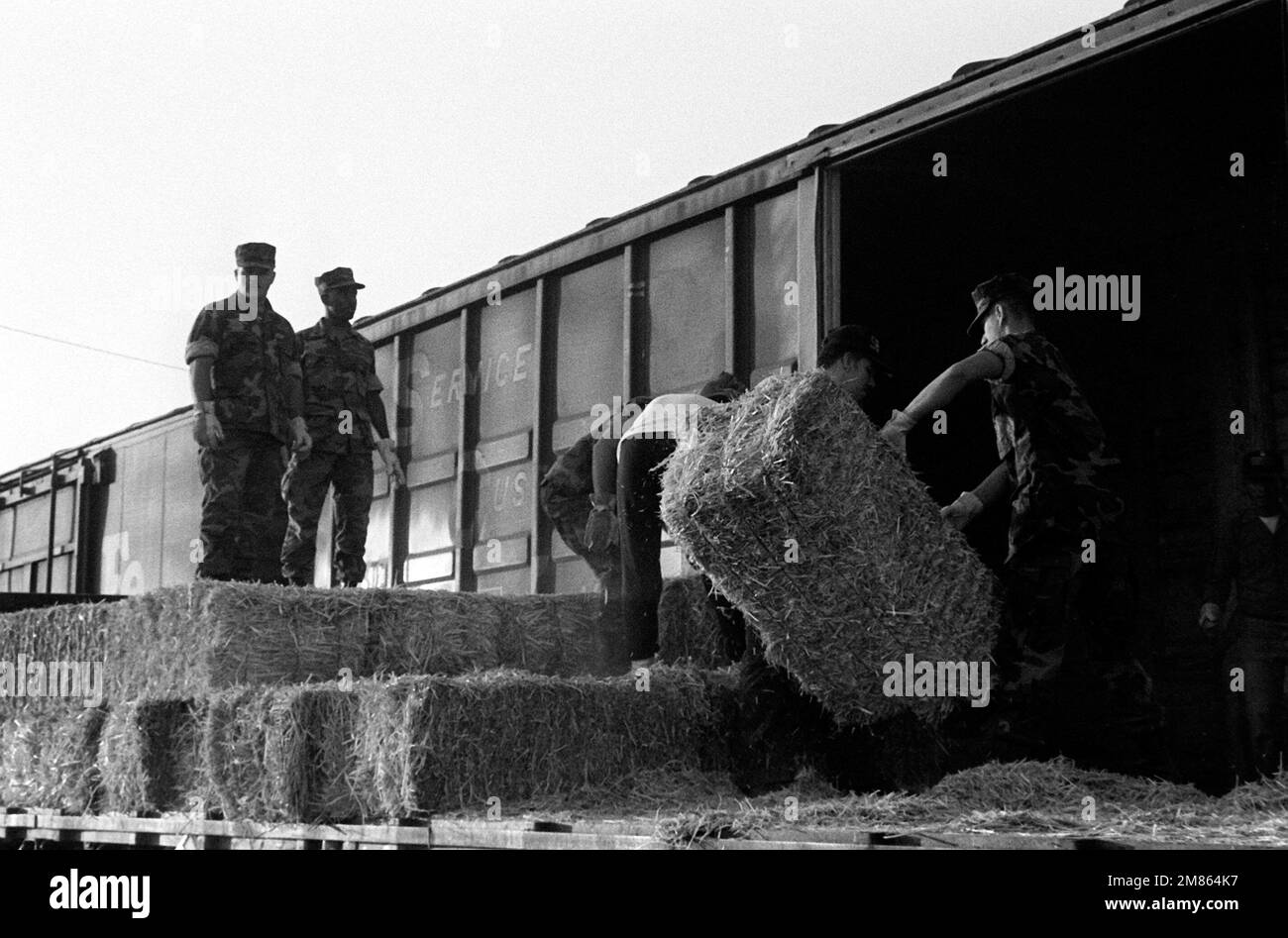 Marines from Marine Corps Logistics Base, Barstow, load bales of ...