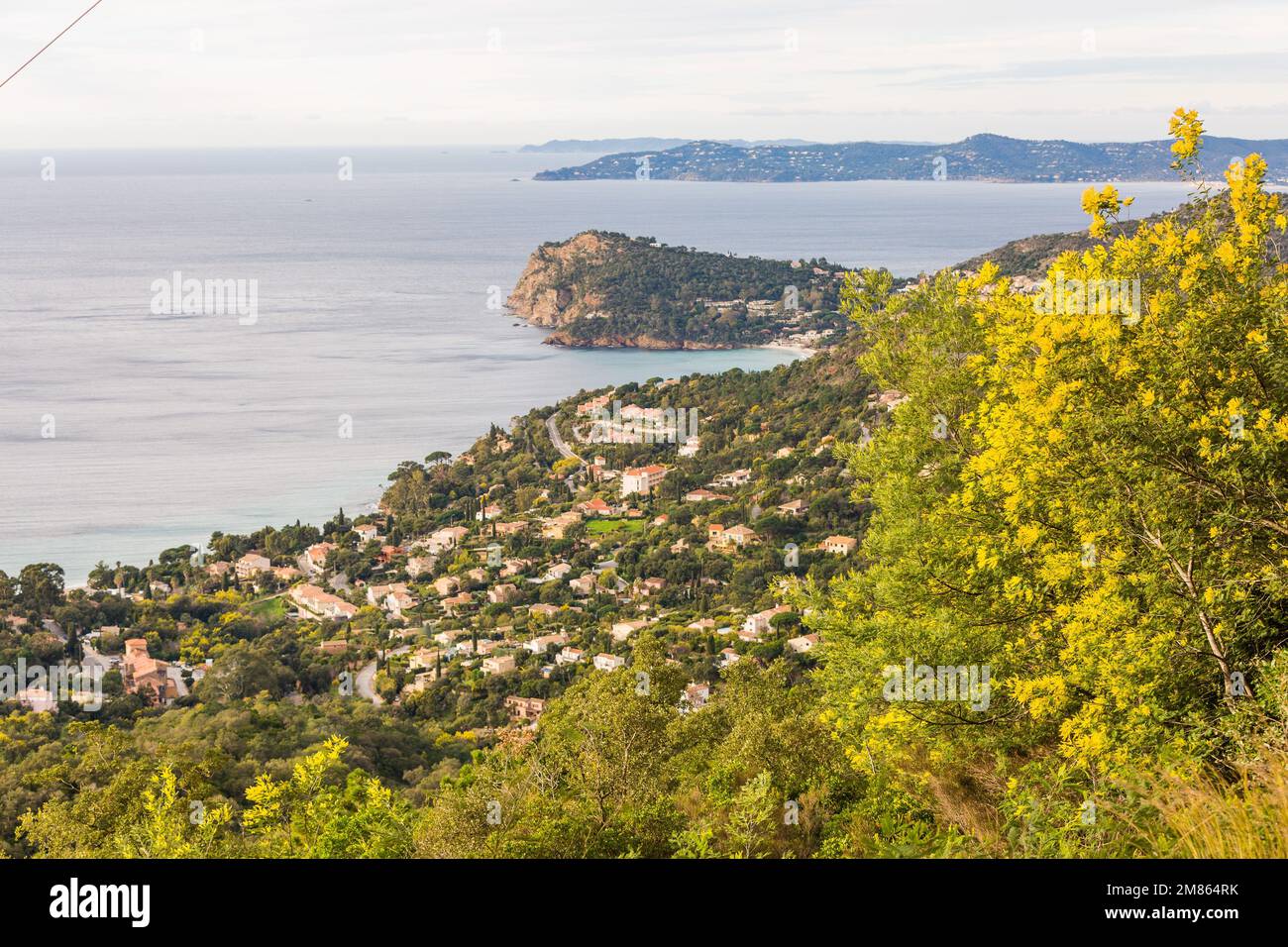 MIMOSAS SEEN FROM THE COL OF LE CANADEL, VIEW OVER CAP NEGRE CAPE, LE ...
