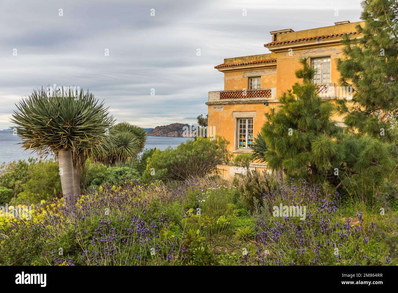 DOMAINE DU RAYOL, LES MEDITERRANEES GARDEN, LE RAYOL CANADEL SUR MER ...