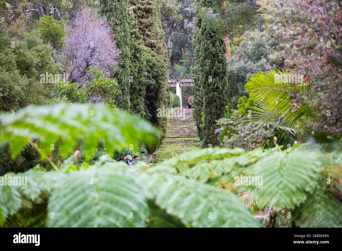 DOMAINE DU RAYOL, LES MEDITERRANEES GARDEN, LE RAYOL CANADEL SUR MER ...