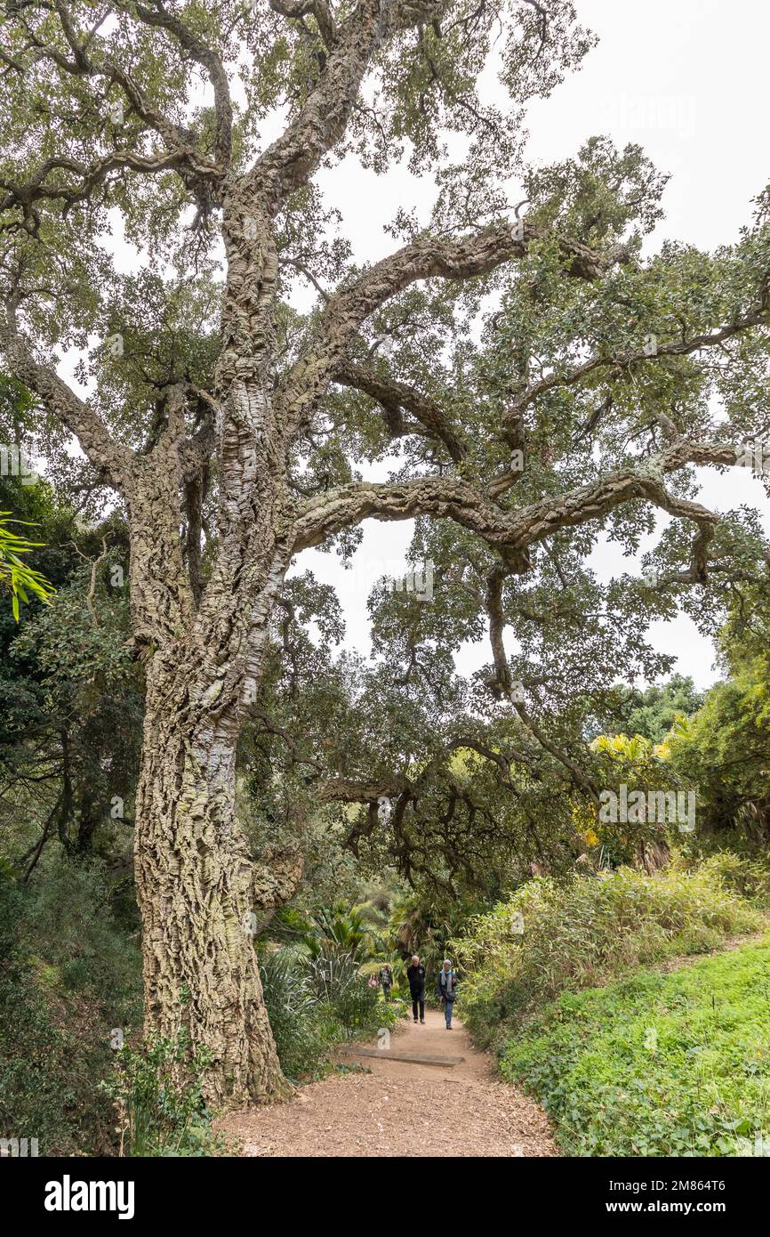 DOMAINE DU RAYOL, LES MEDITERRANEES GARDEN, LE RAYOL CANADEL SUR MER ...