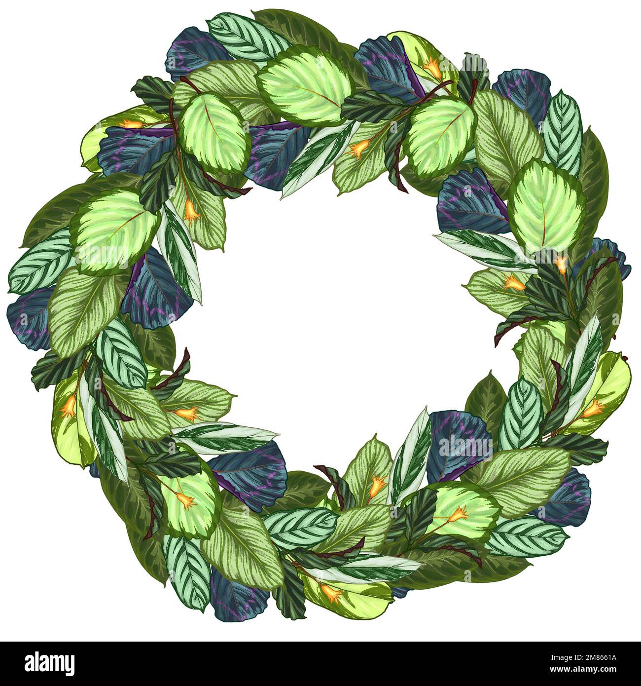 Plants drawing painting Cut Out Stock Images & Pictures - Alamy