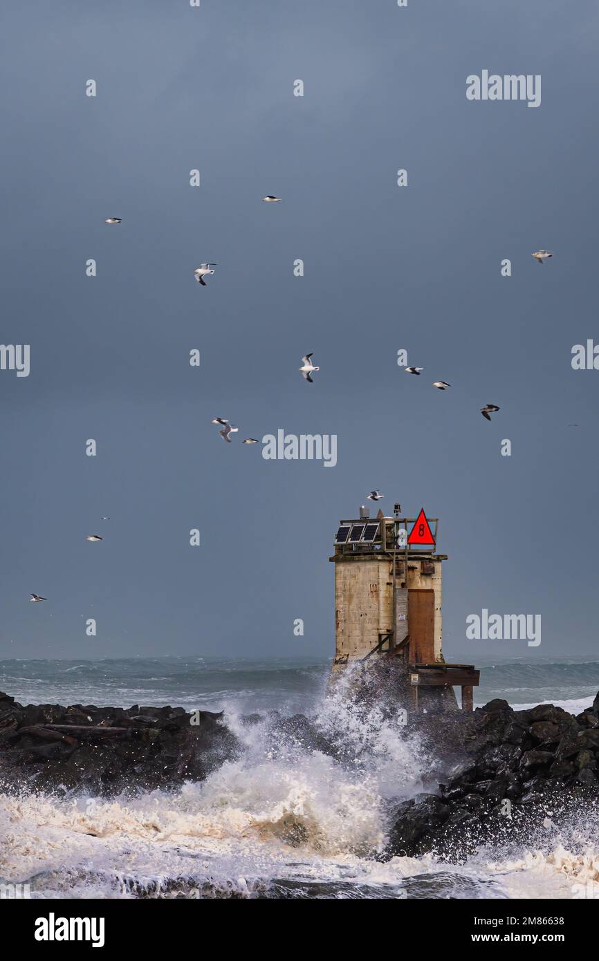 Seagulls flying around a jetty with a foghorn at the Oregon Coast ...