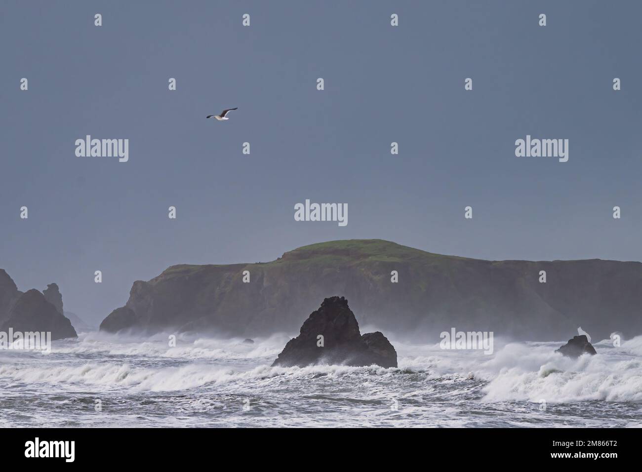 Winter storm at the Oregon Coast Stock Photo - Alamy
