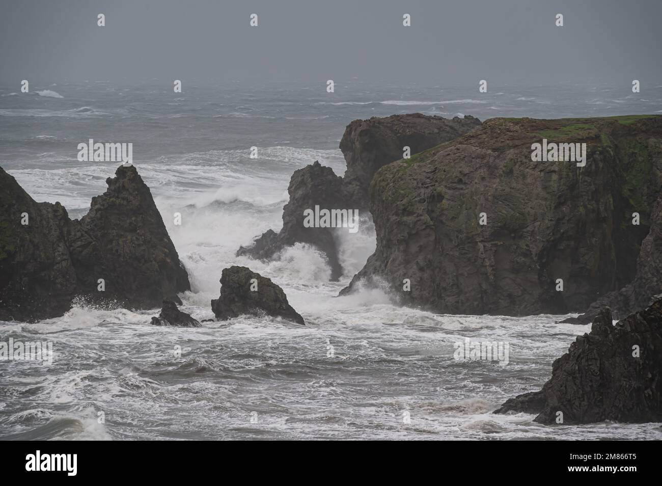 Winter storm at the Oregon Coast Stock Photo - Alamy