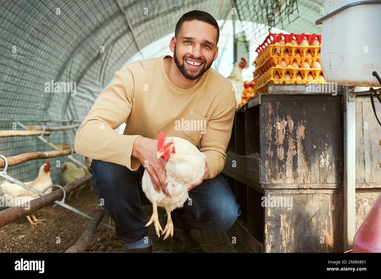 Chicken farmer, poultry farming and man with animals, smile and ...